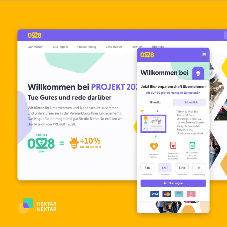 Peak11. Product Design and Custom Software Development